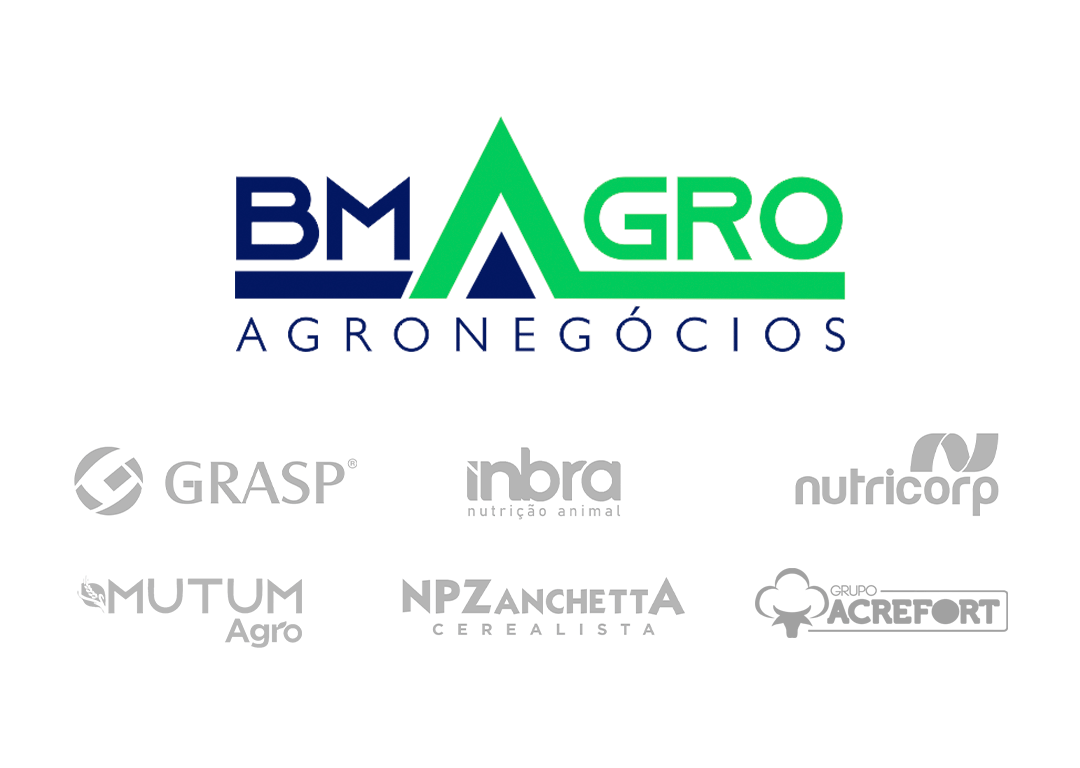 BM AGRO - AGRONEGÓCIOS